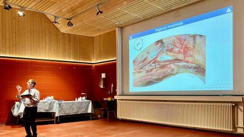 External courses and meetings | ECVAA